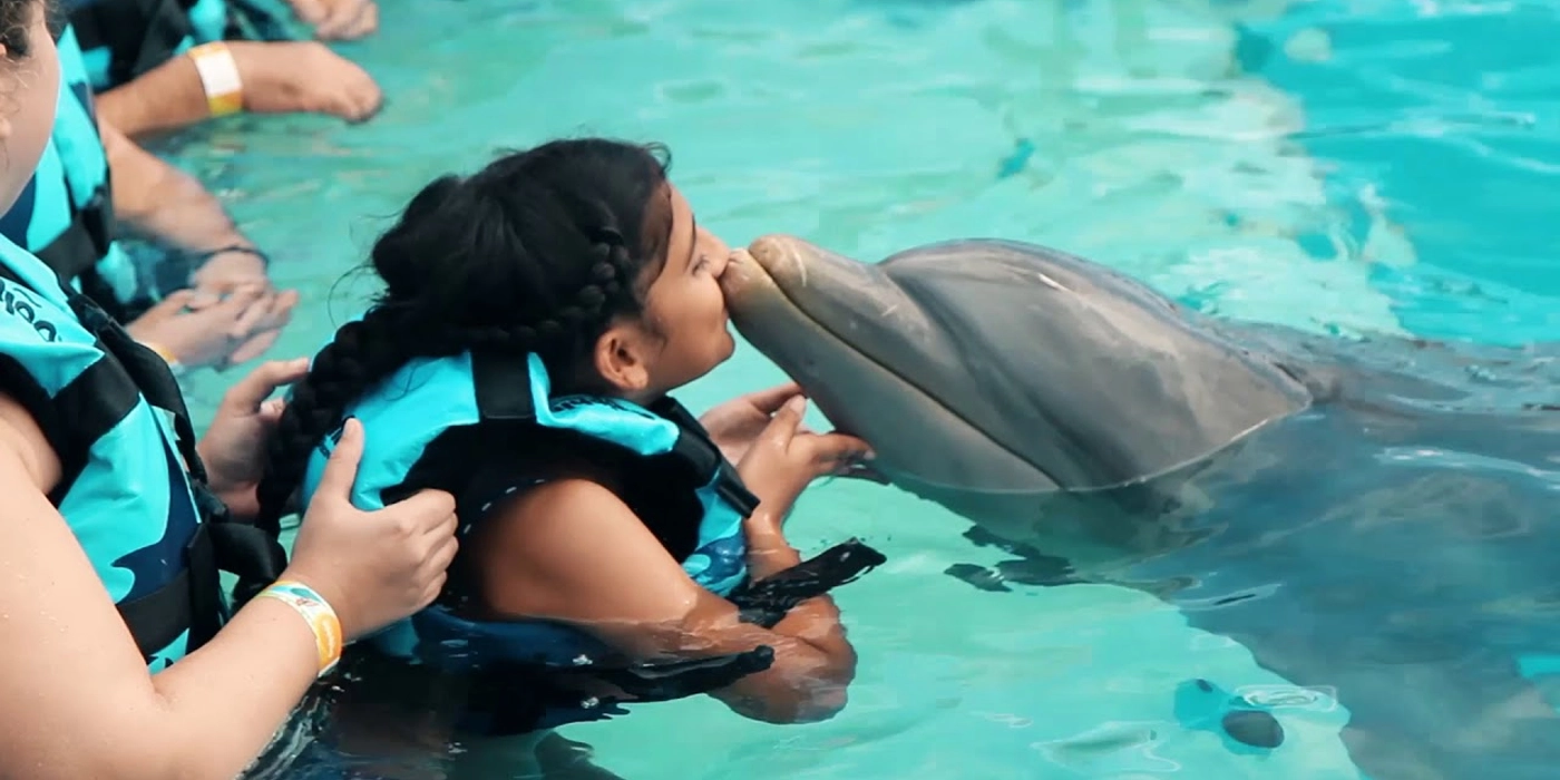 Dolphin Encounter in Punta Cana - DD Travel