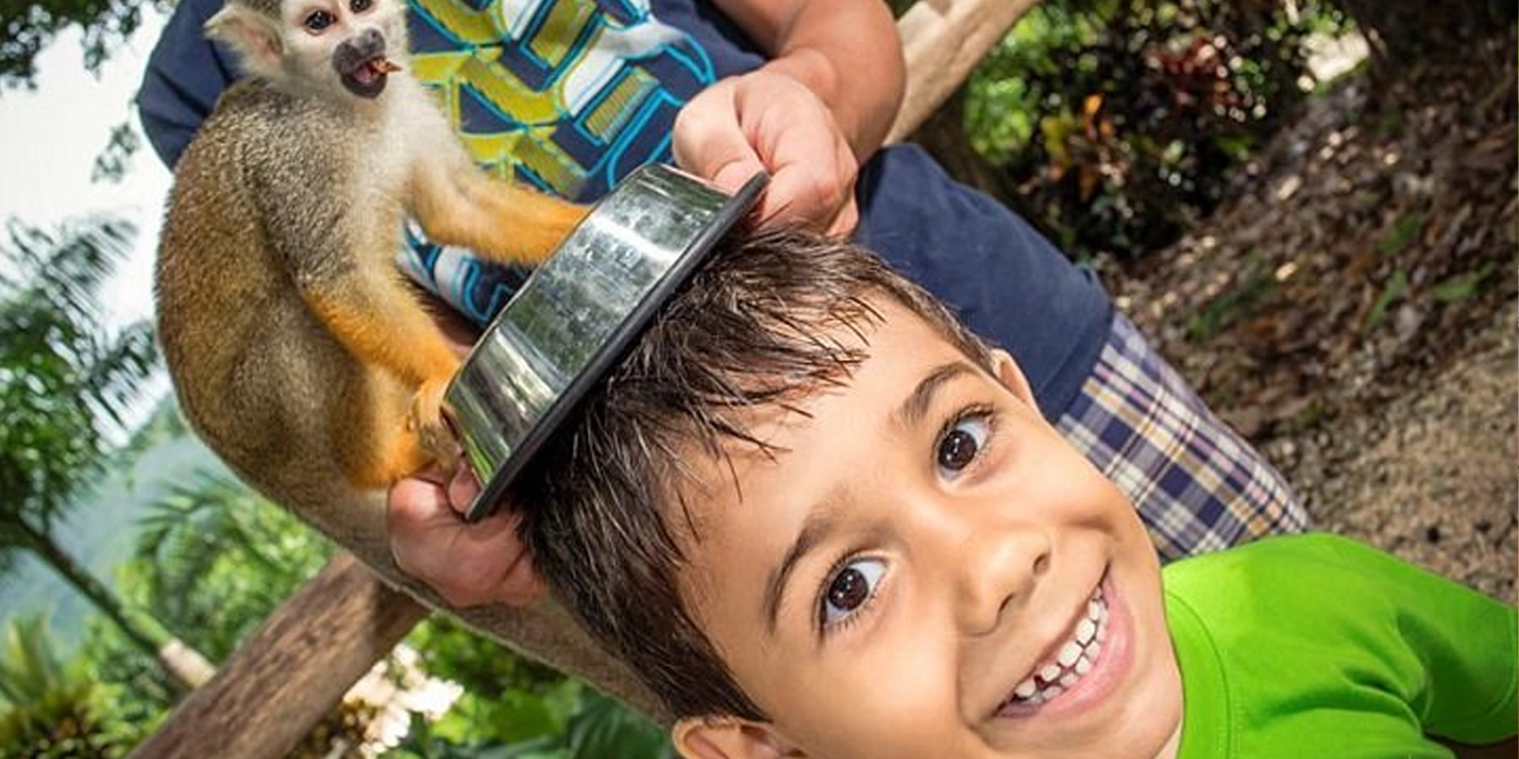 Monkeyland Punta Cana - DD Travel